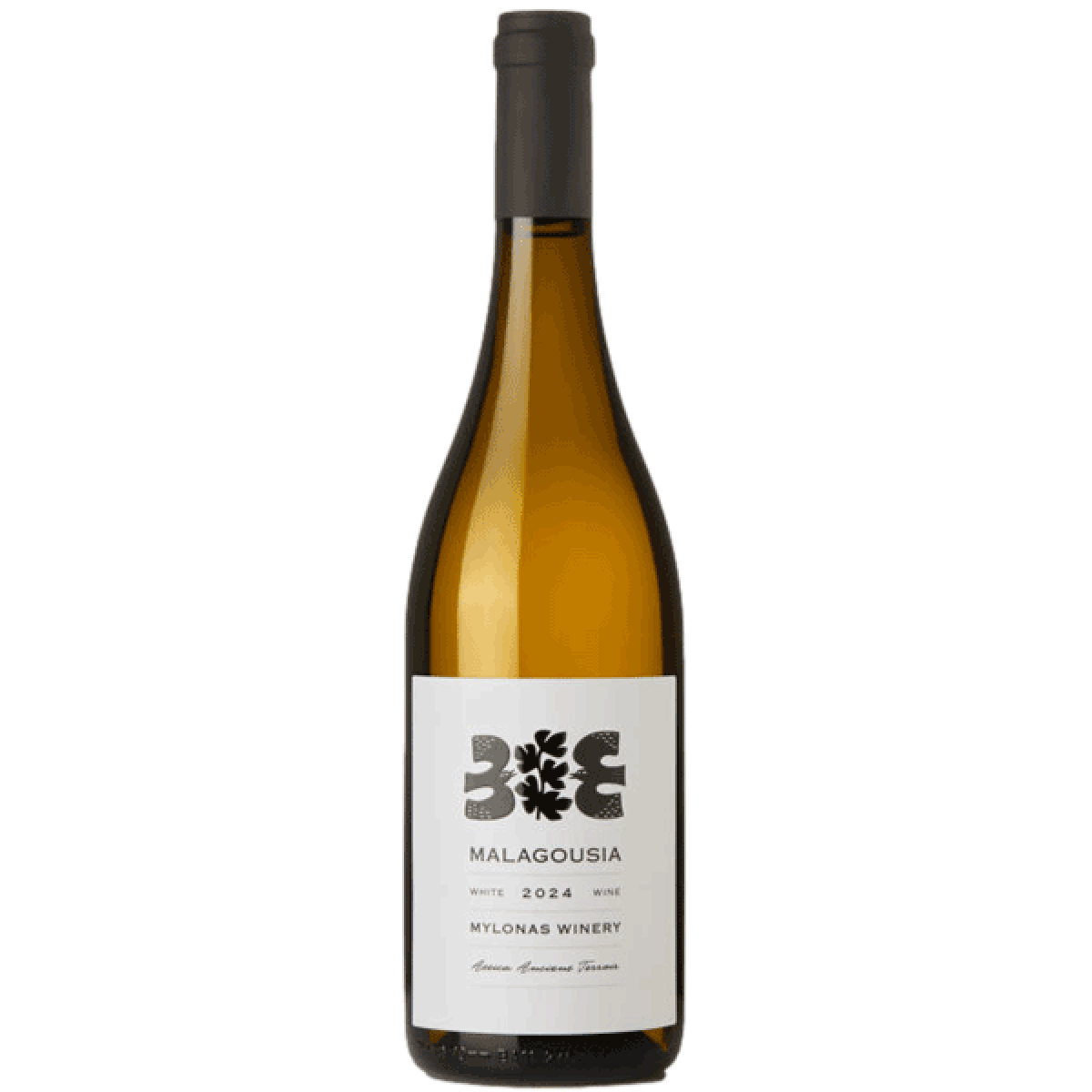 Mylonas Winery Malagousia 2025 | Greece and Grapes