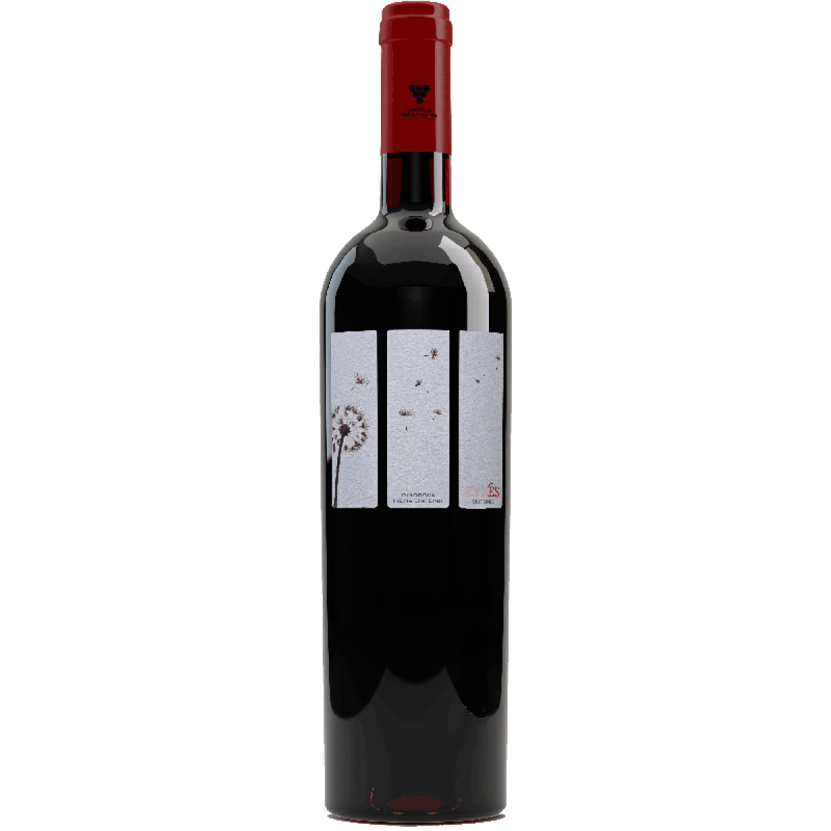 Pieria Eratini Winery Efhes Erateines Red 2020 | Greece and Grapes