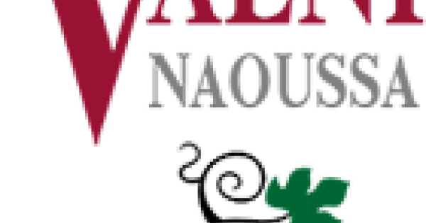 Vaeni wines | Greece and Grapes